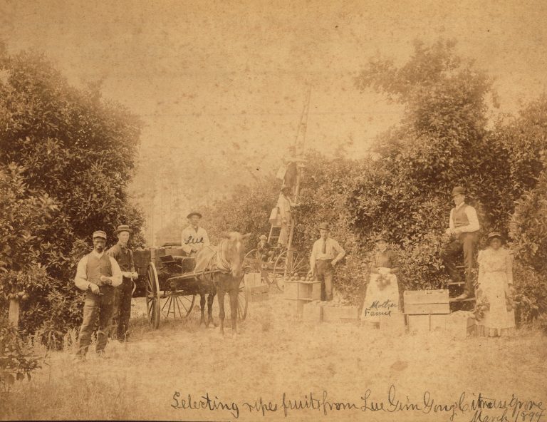 Lue Gim Gong: A Chinese American Pioneer and the Citrus Wizard of ...