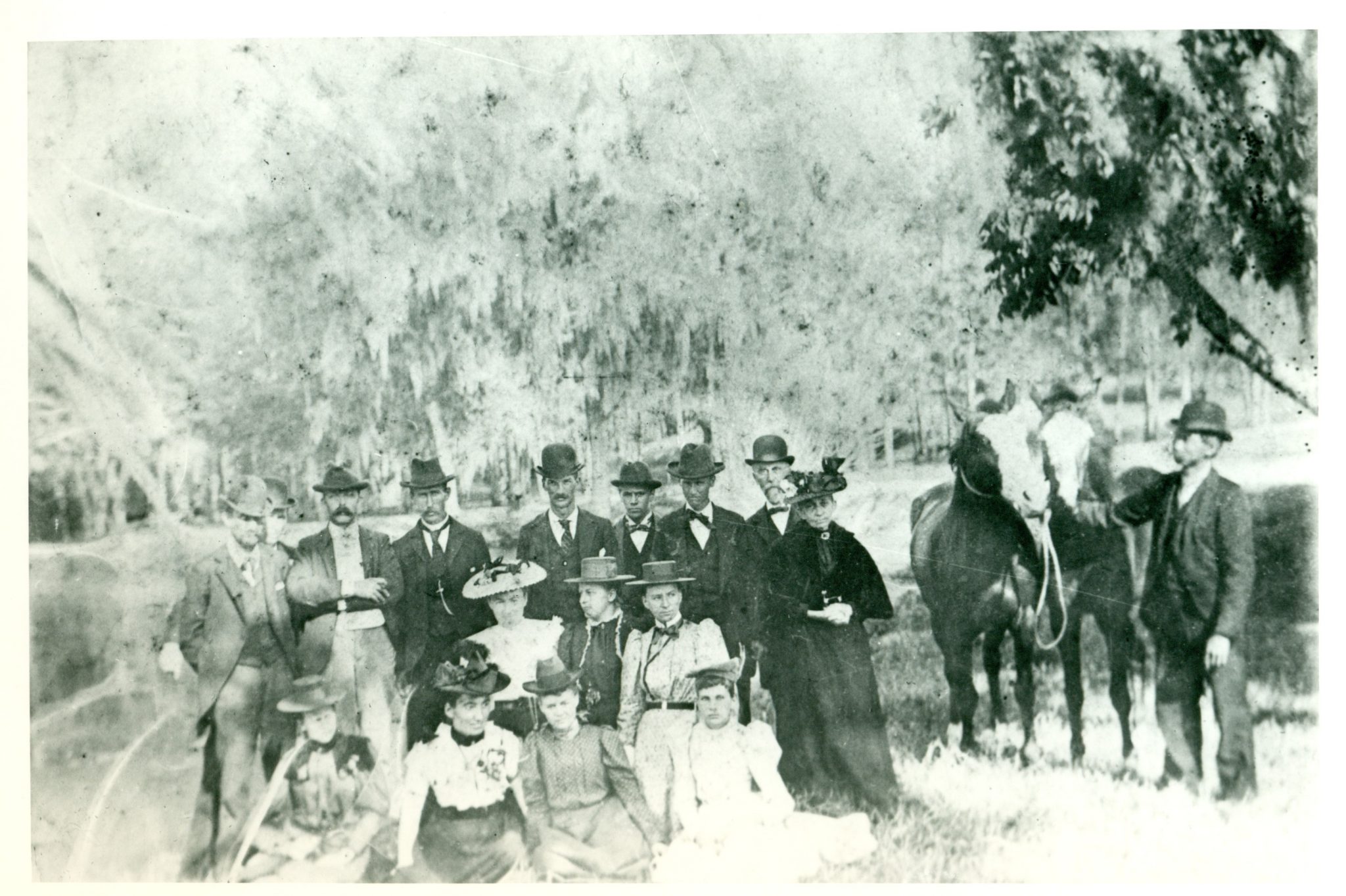 Lue Gim Gong: A Chinese American Pioneer and the Citrus Wizard of ...