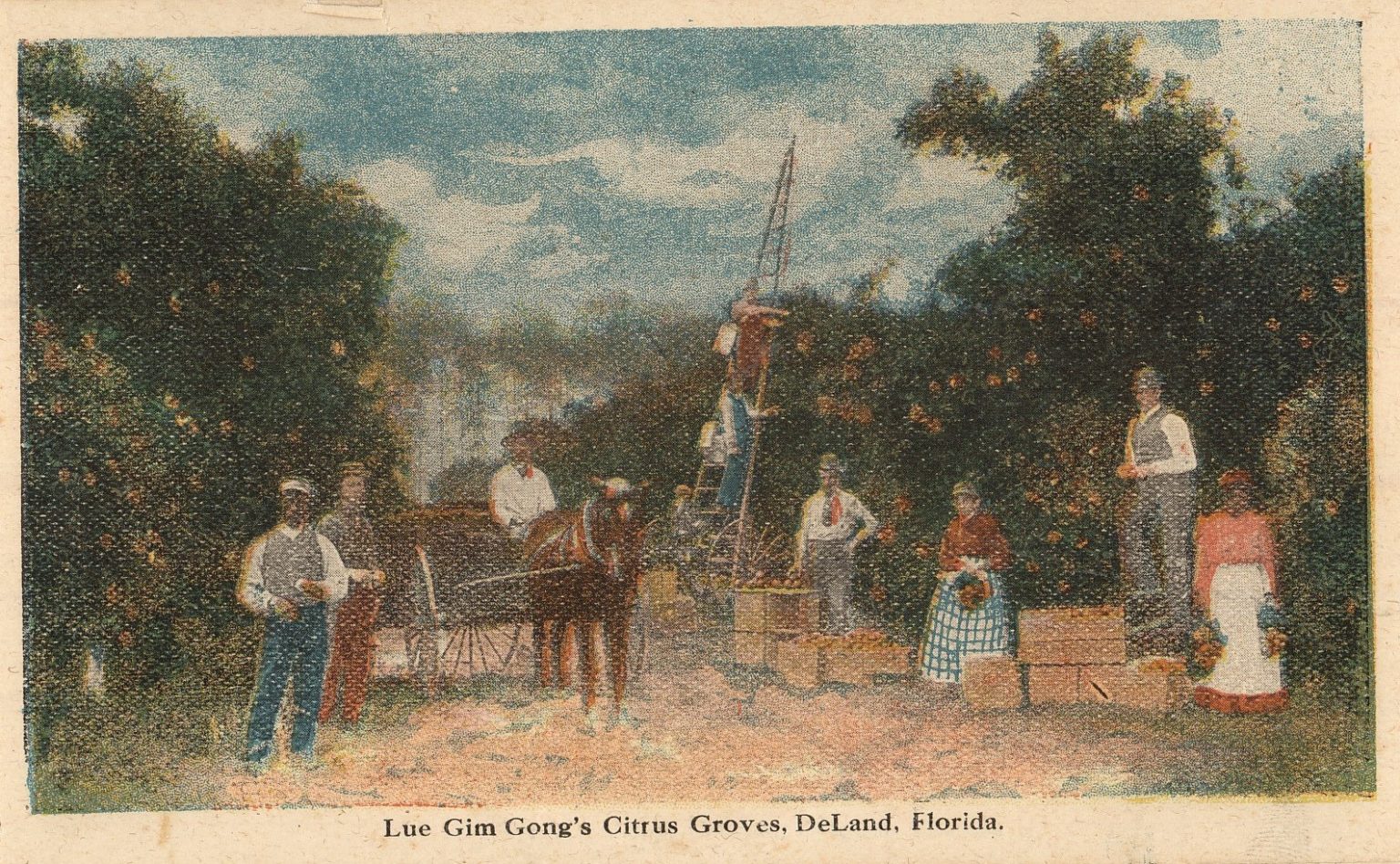 Lue Gim Gong: A Chinese American Pioneer and the Citrus Wizard of ...