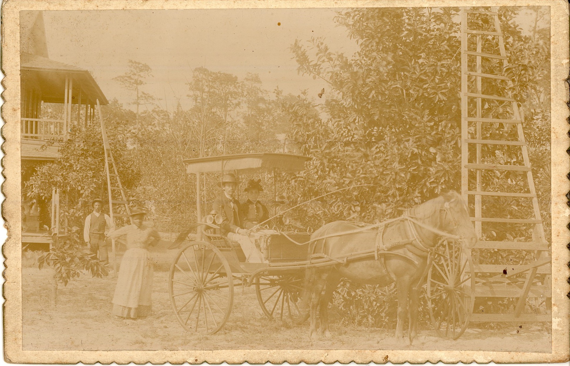 Lue Gim Gong: A Chinese American Pioneer and the Citrus Wizard of ...