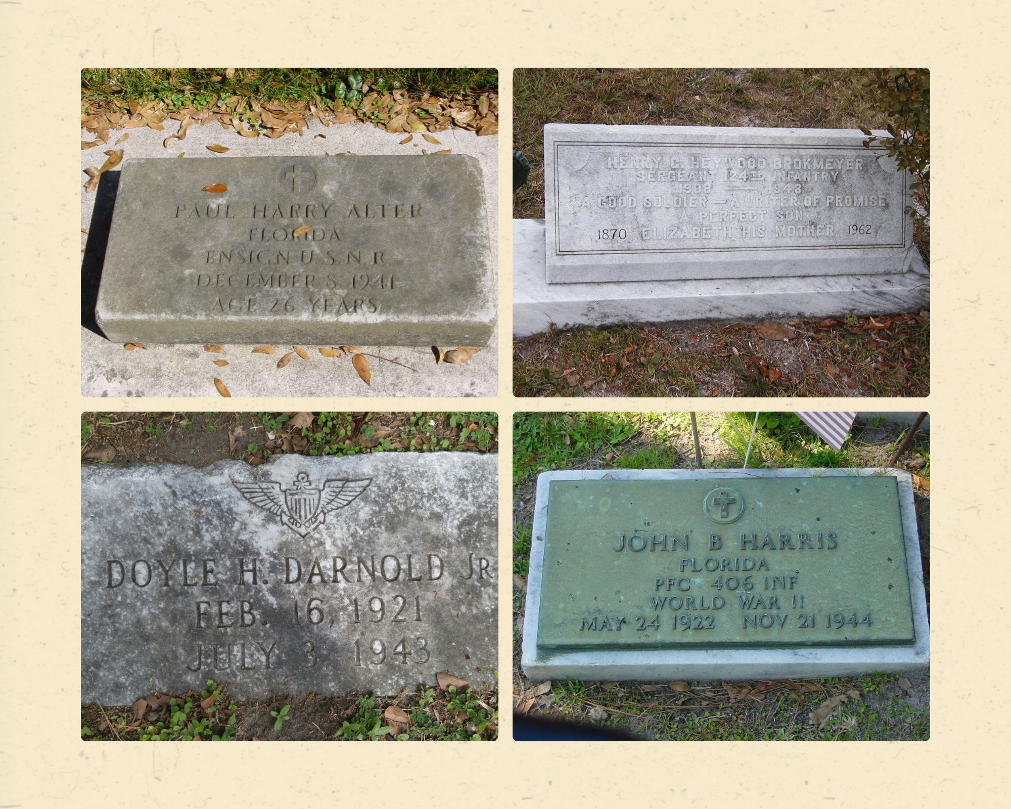 In Remembrance: Gold Stars of Rollins During the Armed Conflicts of the ...