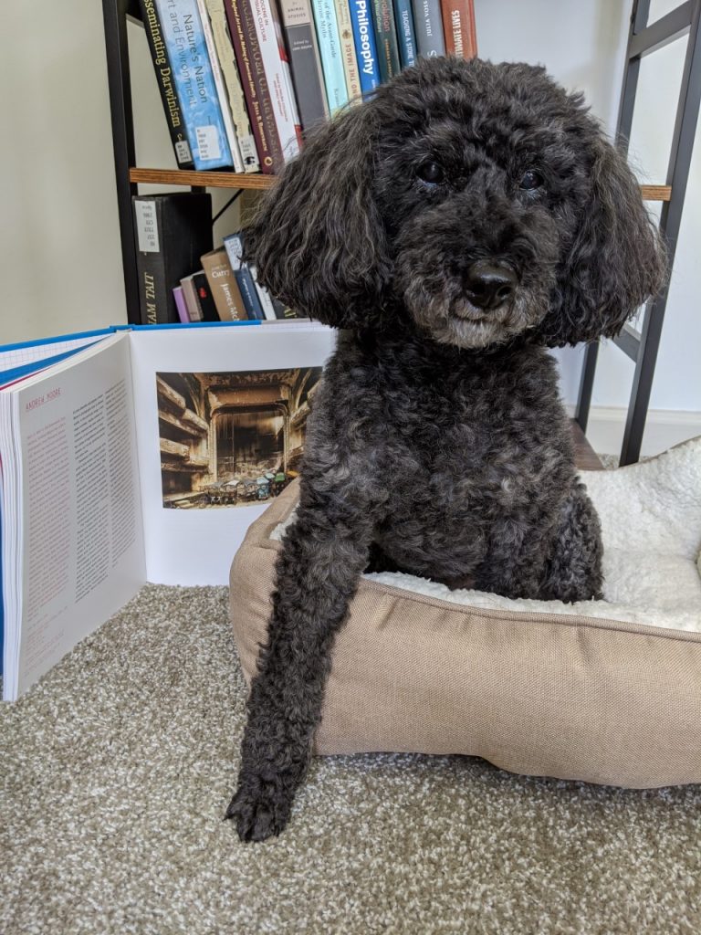 Alexander Pope’s Portrait of Duke and the Long History of Animal ...