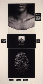 Lorna Simpson: Artist and Pioneer of Conceptual Photography - Rollins ...